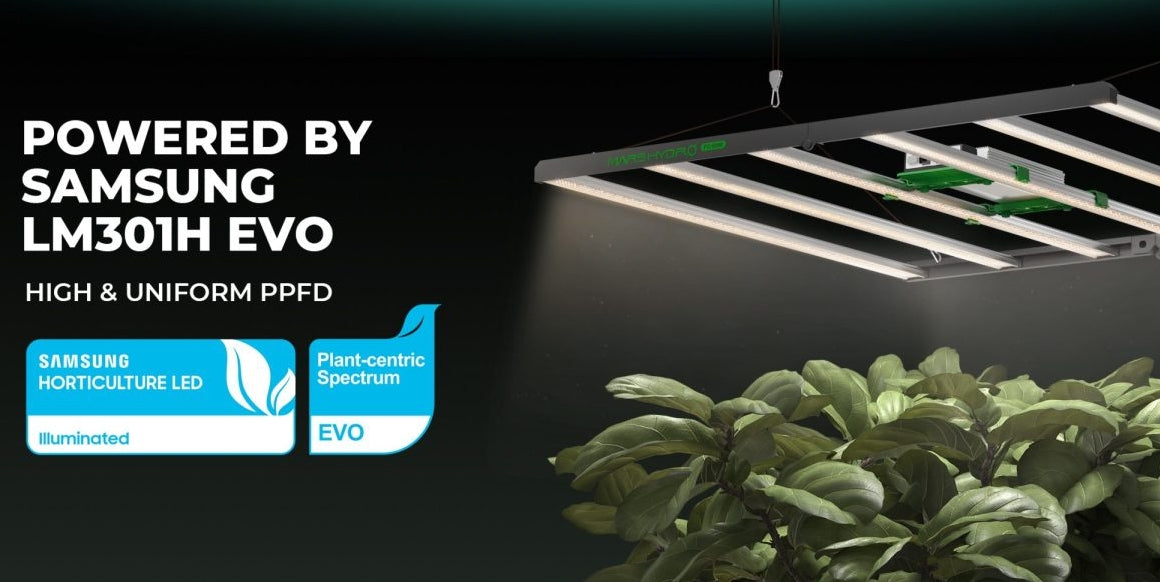 Mars Hydro - Pronta entrega Brasil Alpha Blunt – ALPHA BLUNT GROWSHOP